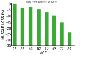 Building Muscle After 50 - The Best Exercises For Older People